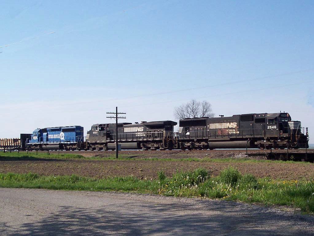 NS 2546 NS 9587 NSxCR 3412